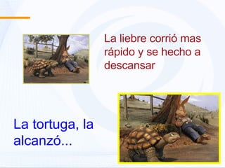 La Liebre Y La Tortuga | PPT