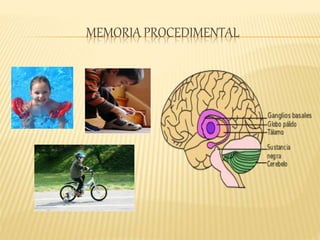 La memoria y atención | PPTX