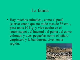 Región Patagónica | PPS