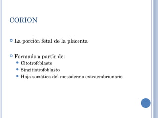 La placenta-y-las-membranas-extraembrionarias | PPT