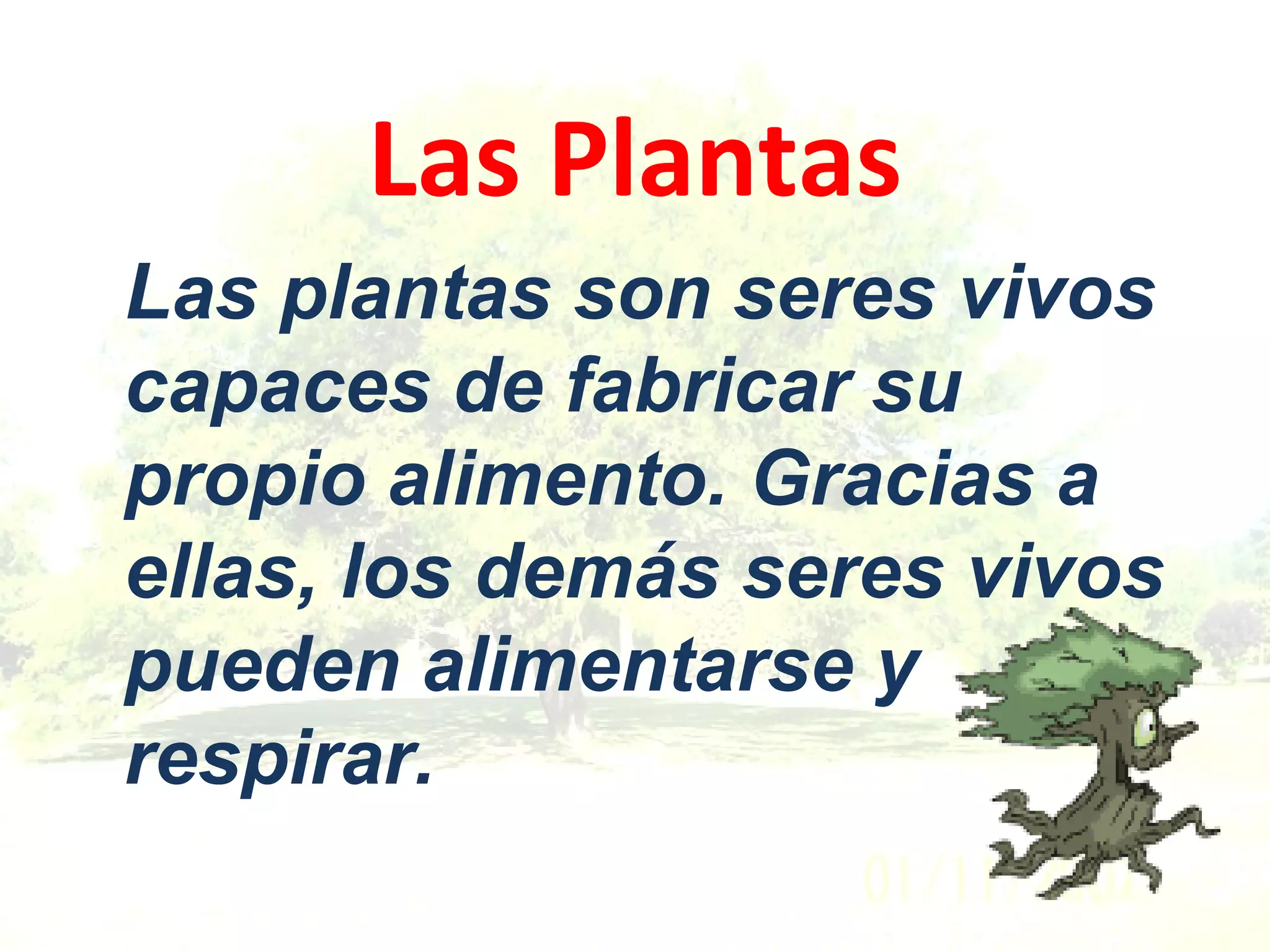 La Planta Y Sus Partes | PPT