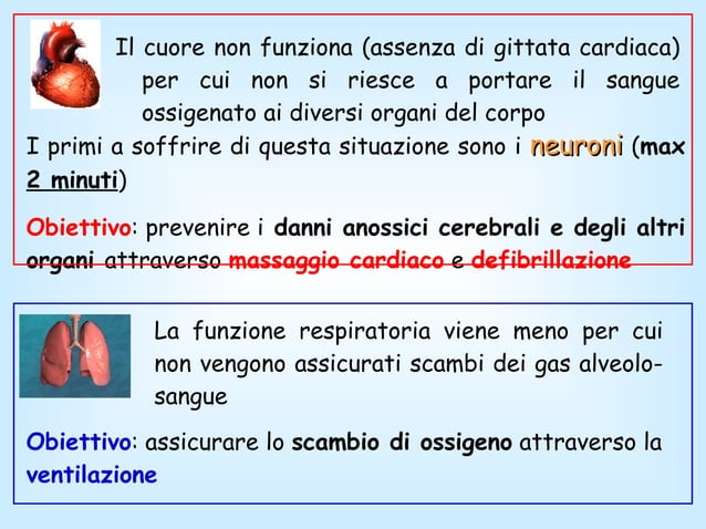 La Rianimazione Cardio Polmonare | PPT | First Aid | Injuries