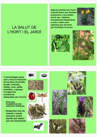 La Salut De Lhort I El Jardi Joan Sole | PDF