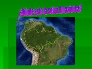 La Selva Amazonica | PPT