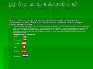 La Selva Amazonica | PPT