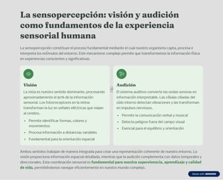 La Sensopercepción: Integración Sensorial y Percepción Espacial ...