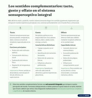 La Sensopercepción: Integración Sensorial y Percepción Espacial ...