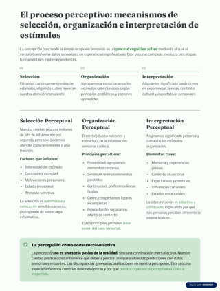 La Sensopercepción: Integración Sensorial y Percepción Espacial ...
