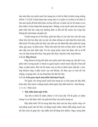 Chẩn đoán và điều trị phẫu thuật u tuyến nước bọt mang tai, HAY | PDF
