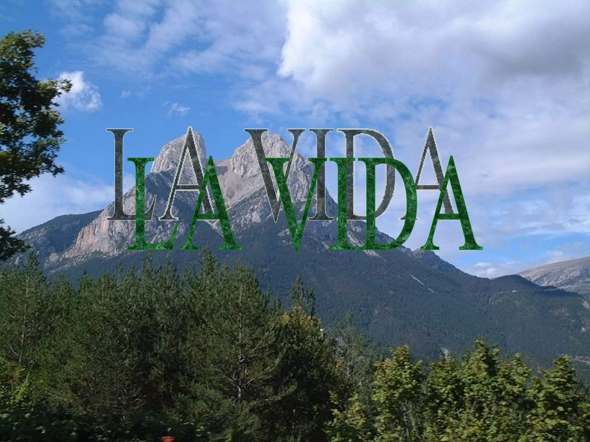 La vida | PPT