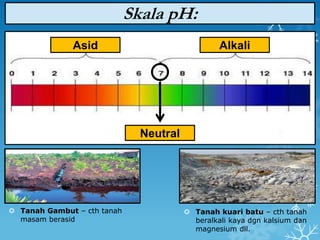 LA 02 Penyediaan Tanah Nurseri Lanskap | PPTX