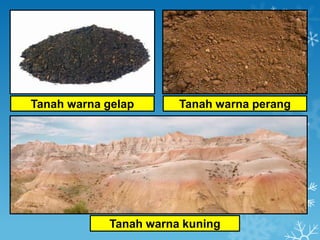 LA 02 Penyediaan Tanah Nurseri Lanskap | PPTX