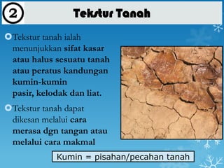 LA 02 Penyediaan Tanah Nurseri Lanskap | PPTX