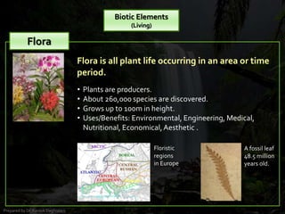 1st Lesson ( Environment ): Part 1: ( Natural Environment ) | PPTX