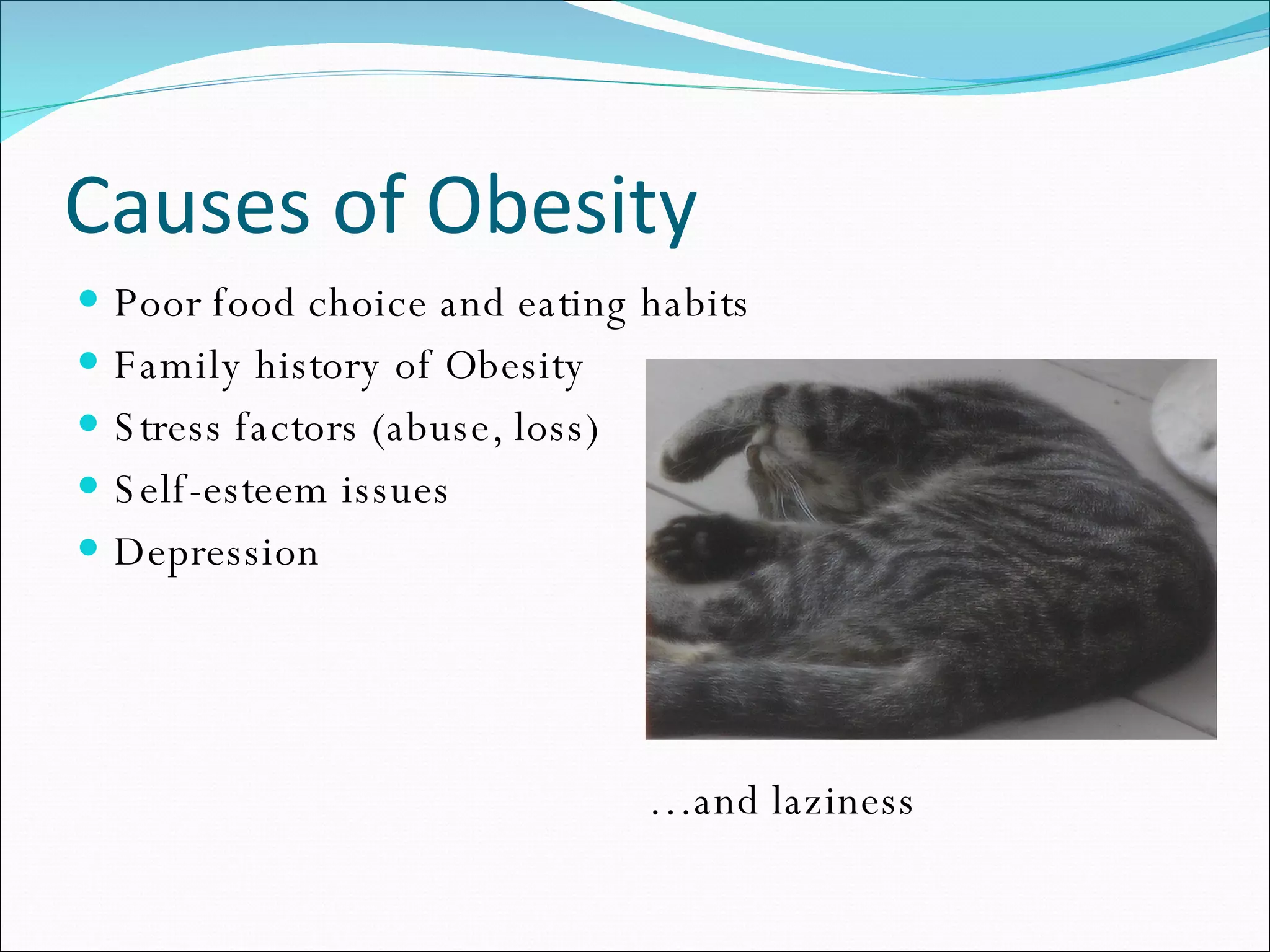 Obesity Presentation | PPT | Diseases and Conditions | Medical Health
