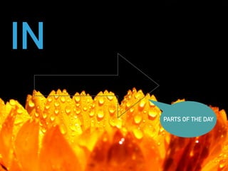 TIME EXPRESSIONS | PDF