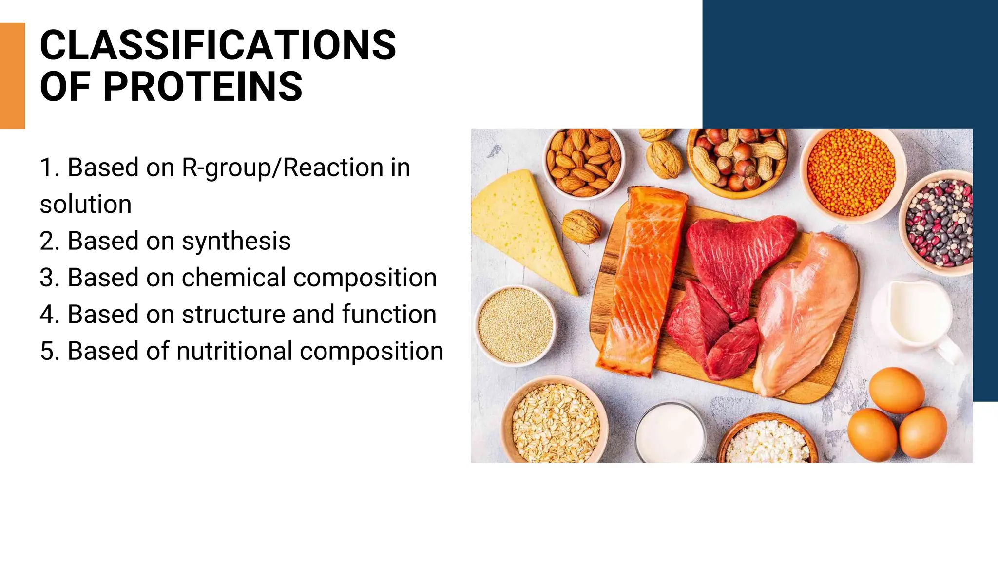 Proteins: An Overview explaining its classification, metabolism and ...