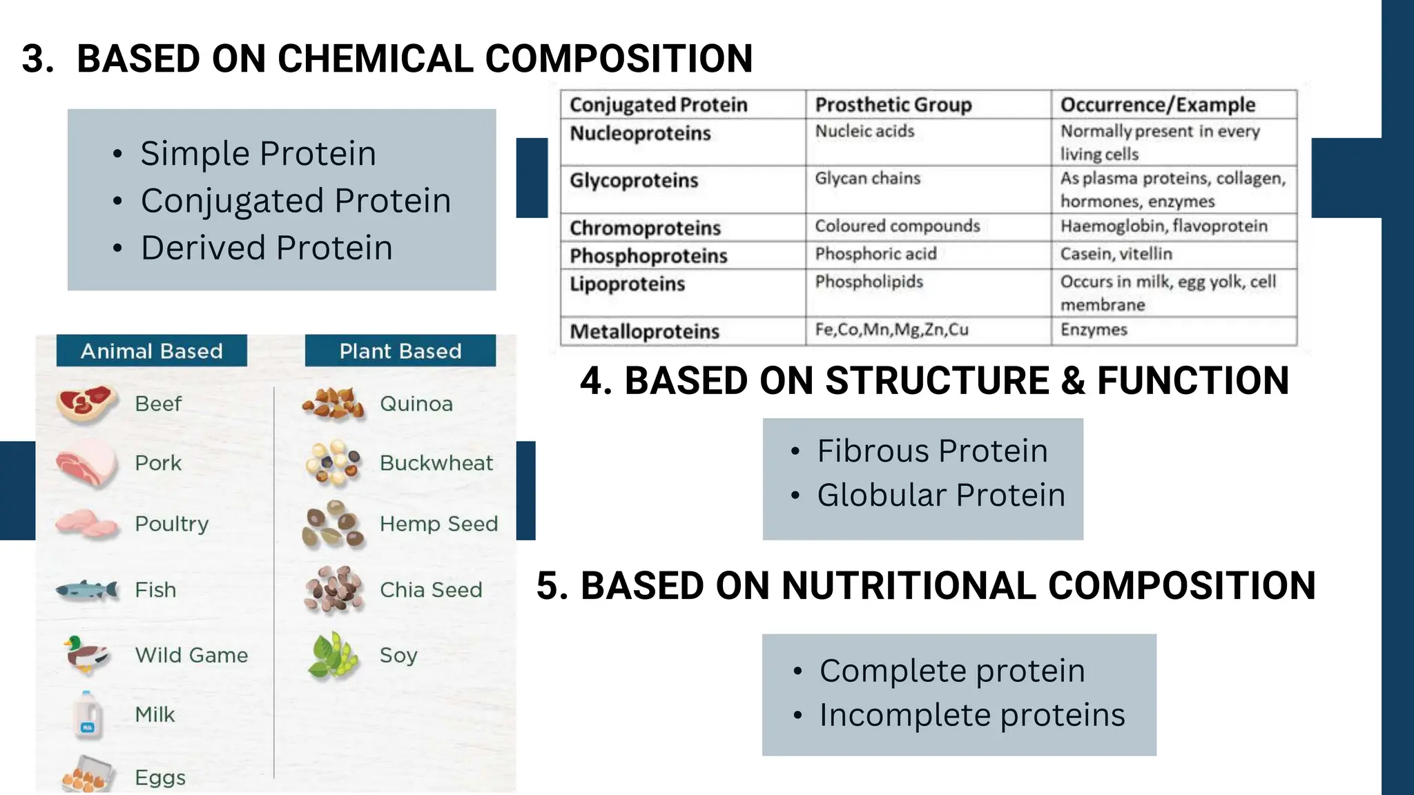 Proteins: An Overview explaining its classification, metabolism and ...