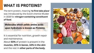 Proteins: An Overview explaining its classification, metabolism and ...