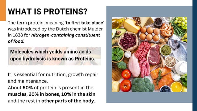 Proteins: An Overview explaining its classification, metabolism and ...