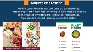 Proteins: An Overview explaining its classification, metabolism and ...