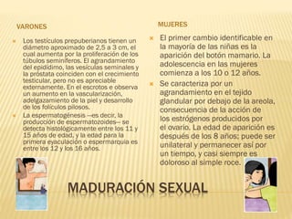 La adolescencia | PPTX