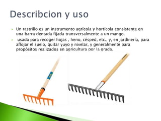 La agricultura | PPTX
