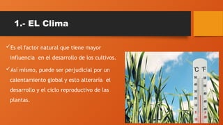 LA AGRICULTURA y su importancia para la alimentación | PPTX