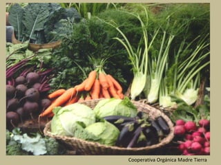 La agricultura ecológica, usos de terreno y soberanía alimentaria ...