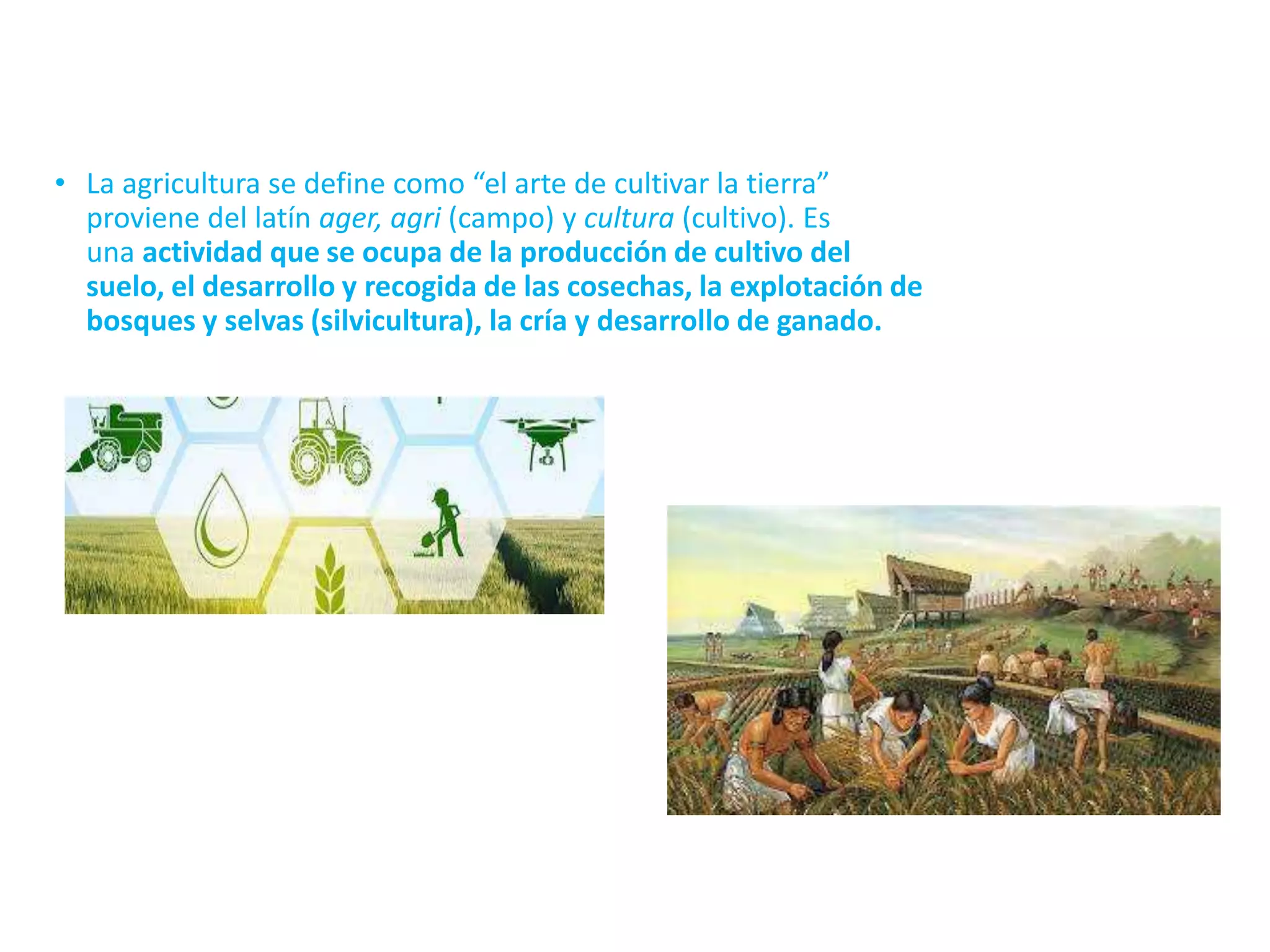 La agricultura en México carmelita.pptx