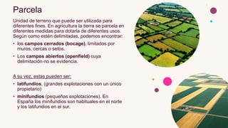 La agricultura y sus formas.pptx