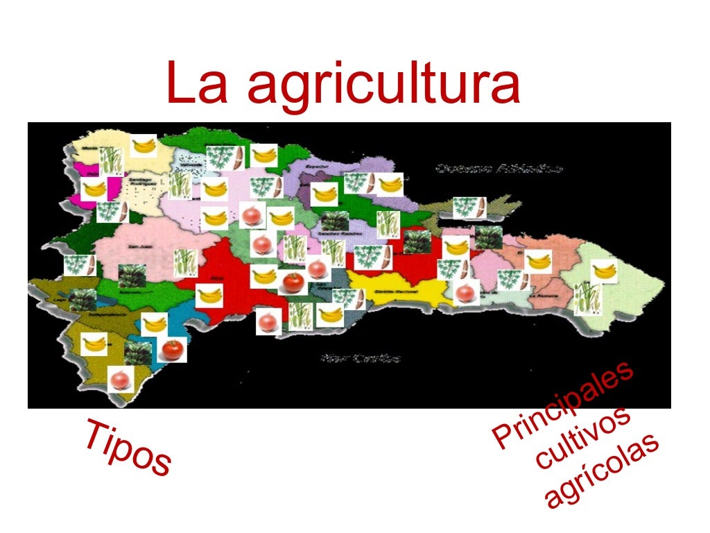 La agricultura, tipos y principales cultivos en la República Dominic…