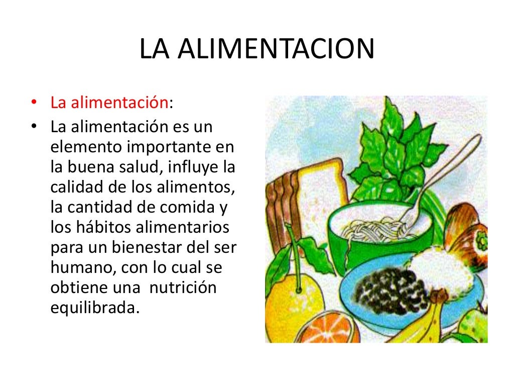 20 Ejemplos De Alimentación ️ Tipos, Definición Y Análisis – RYWXSV