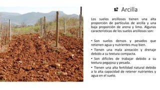 Textura del suelo: clase textural y metodos | PPTX