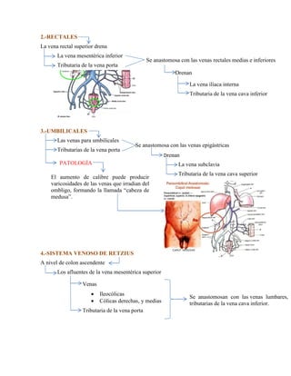 ANASTOMOSIS PORTO-CAVA | PDF