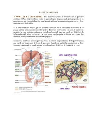 ANASTOMOSIS PORTO-CAVA | PDF