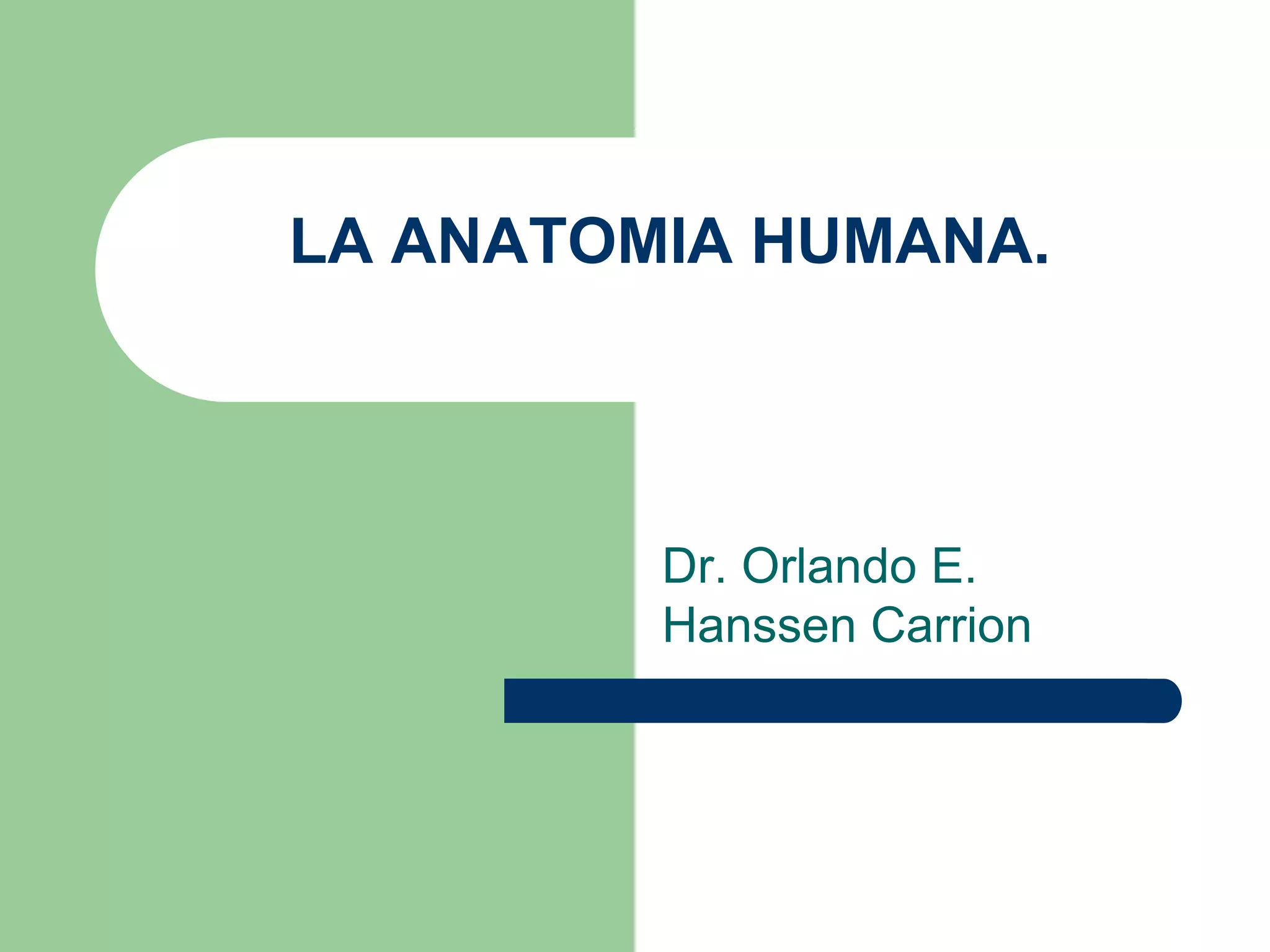 La anatomia humana. | PPTX
