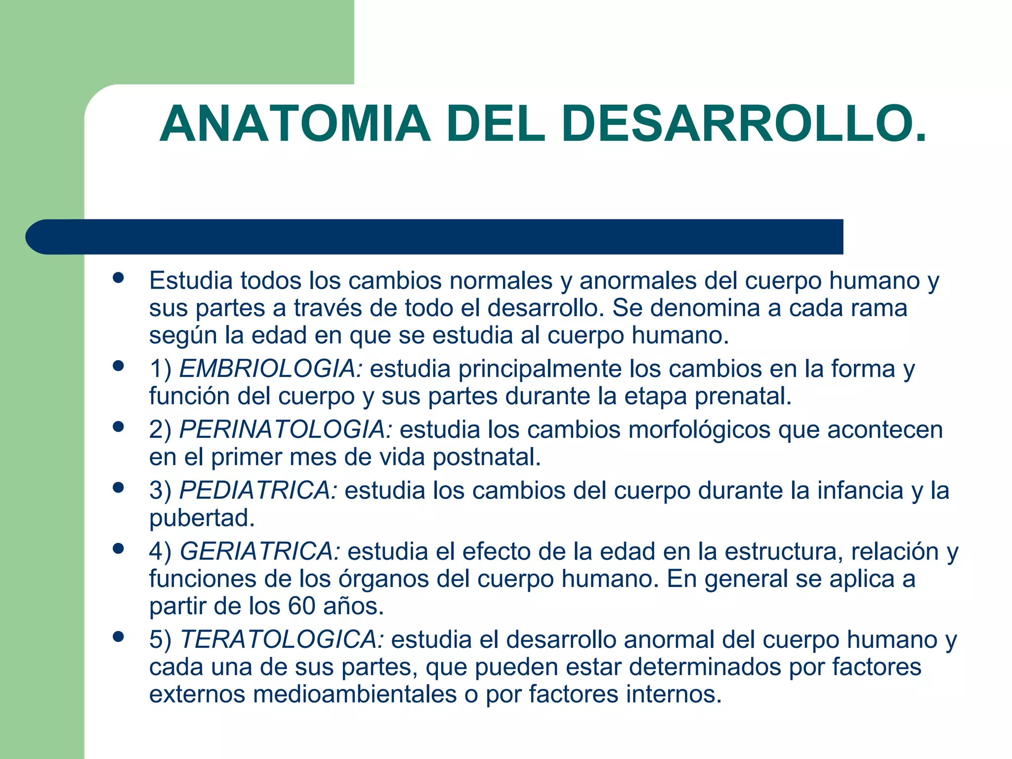 La anatomia humana. | PPT
