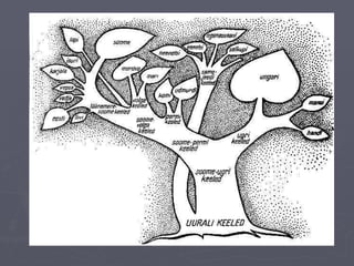 Laanemeresoome keeled | PPT