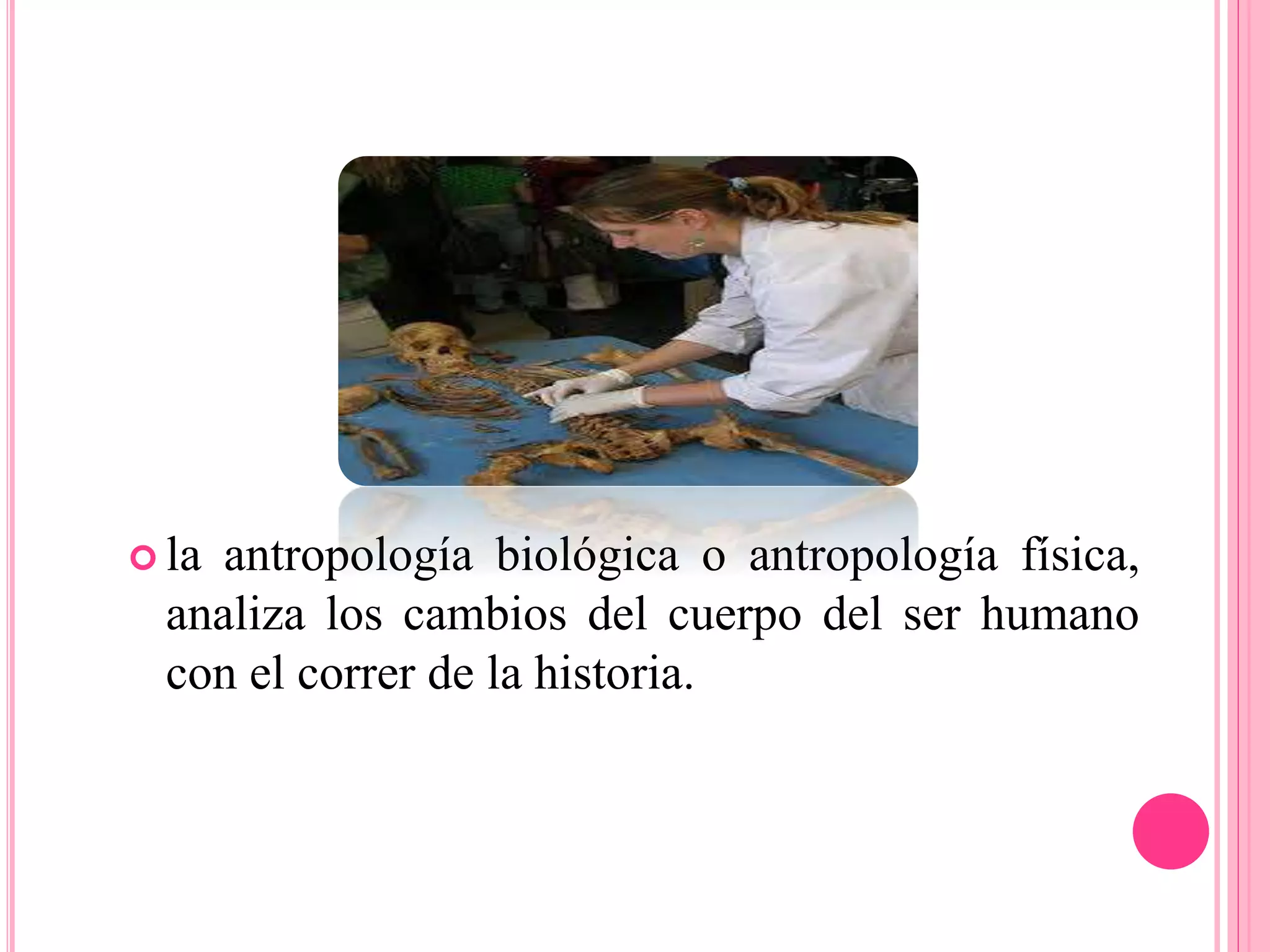 La antropología | PPTX