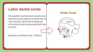 La articulación | PPTX