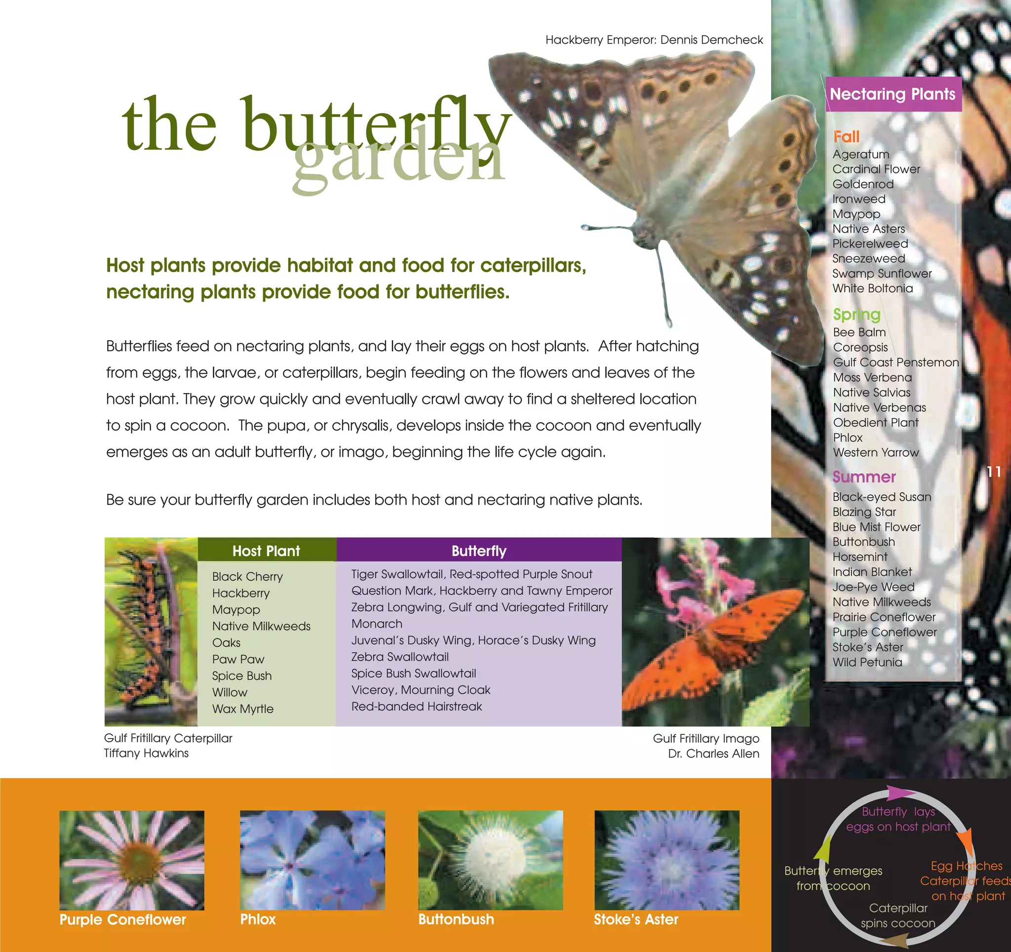 LA: Attracting Wildlife with Native Plants | PDF