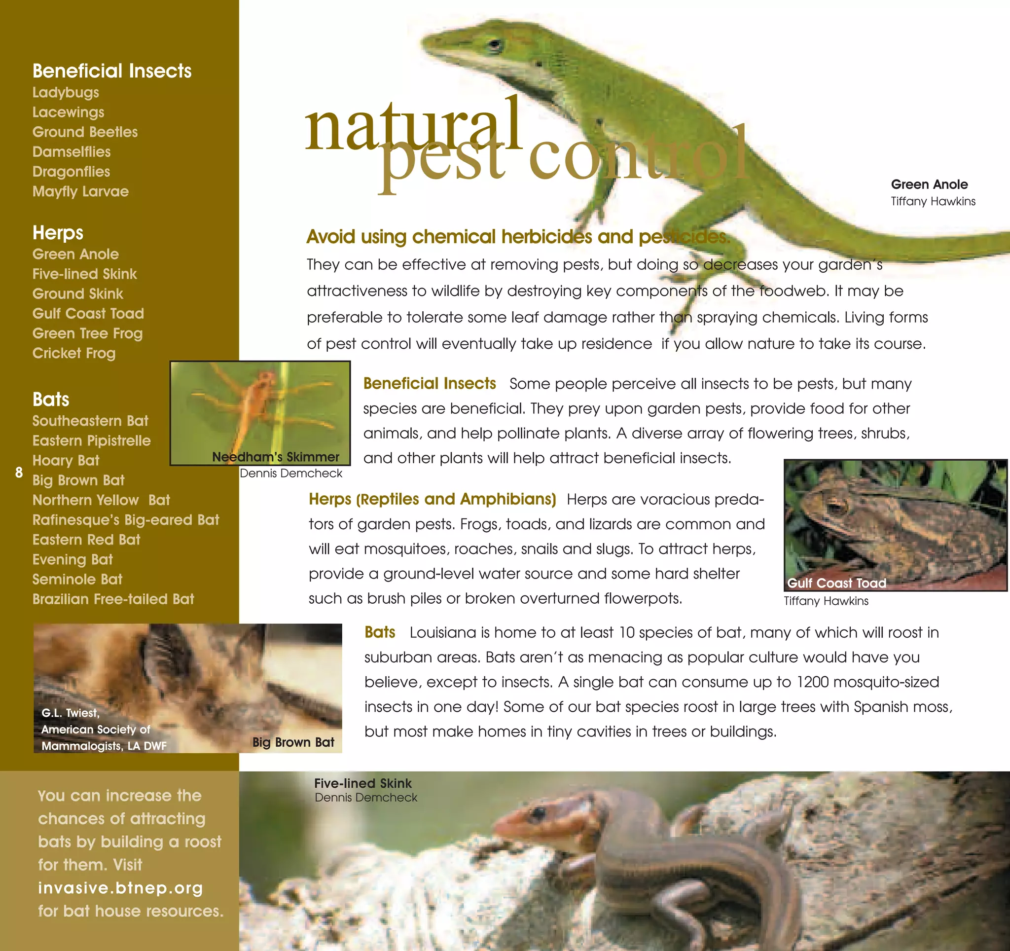 LA: Attracting Wildlife with Native Plants | PDF