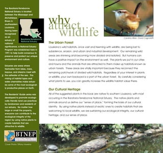 LA: Attracting Wildlife with Native Plants | PPT