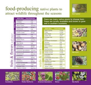 LA: Attracting Wildlife with Native Plants | PPT