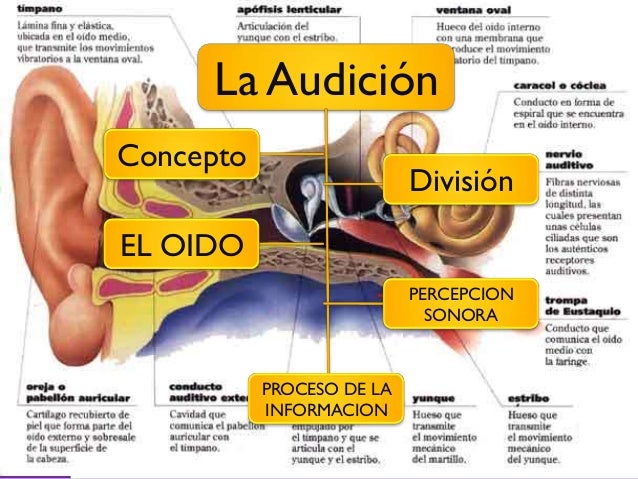 La audicion