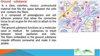 lab-10-connective-tissuedا-محمد-شاكر.pdf