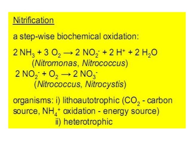 Lab.10 methods for estimating nitrification process