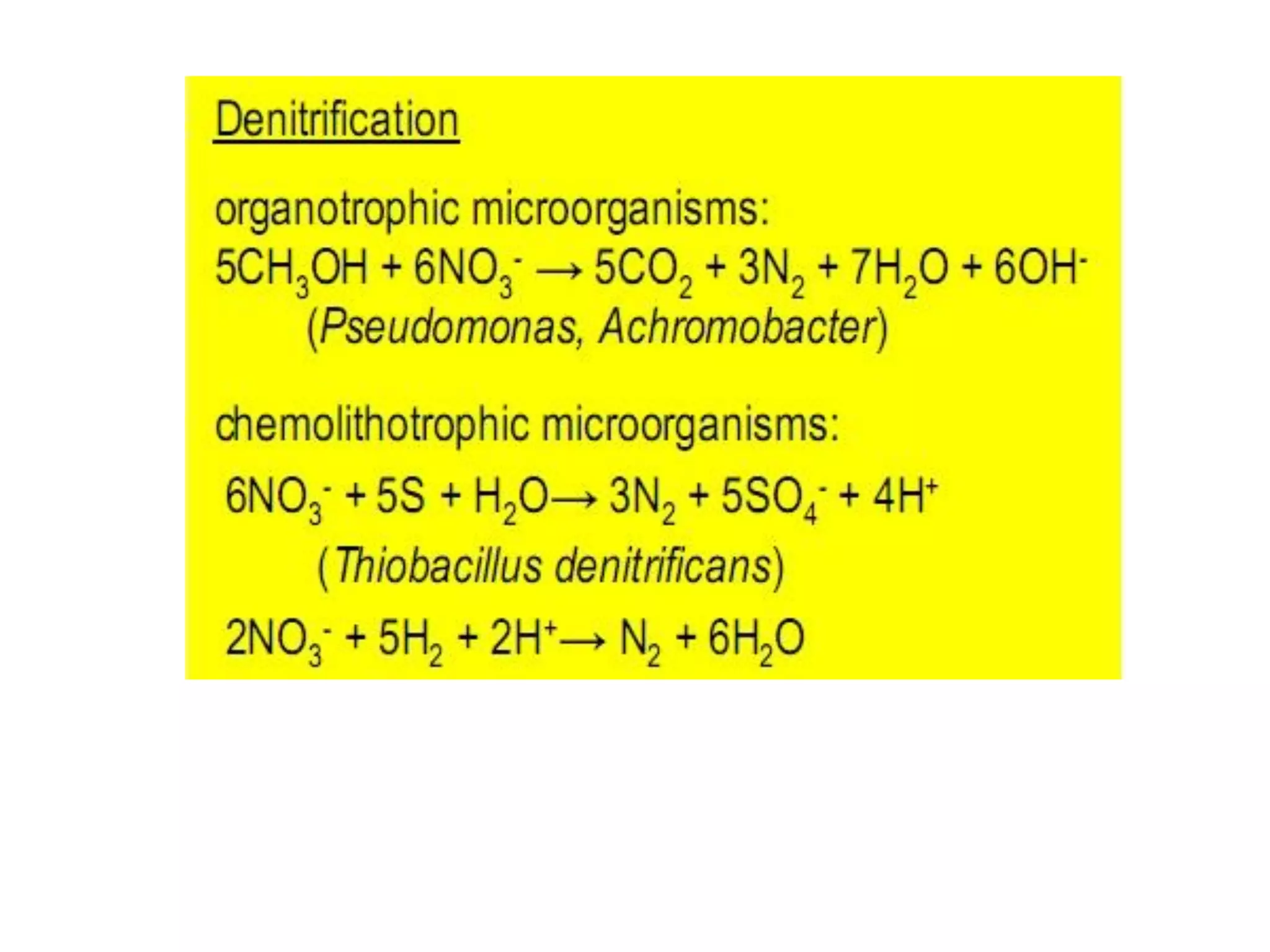 Lab.11 methods for estimating denitrification process | PDF