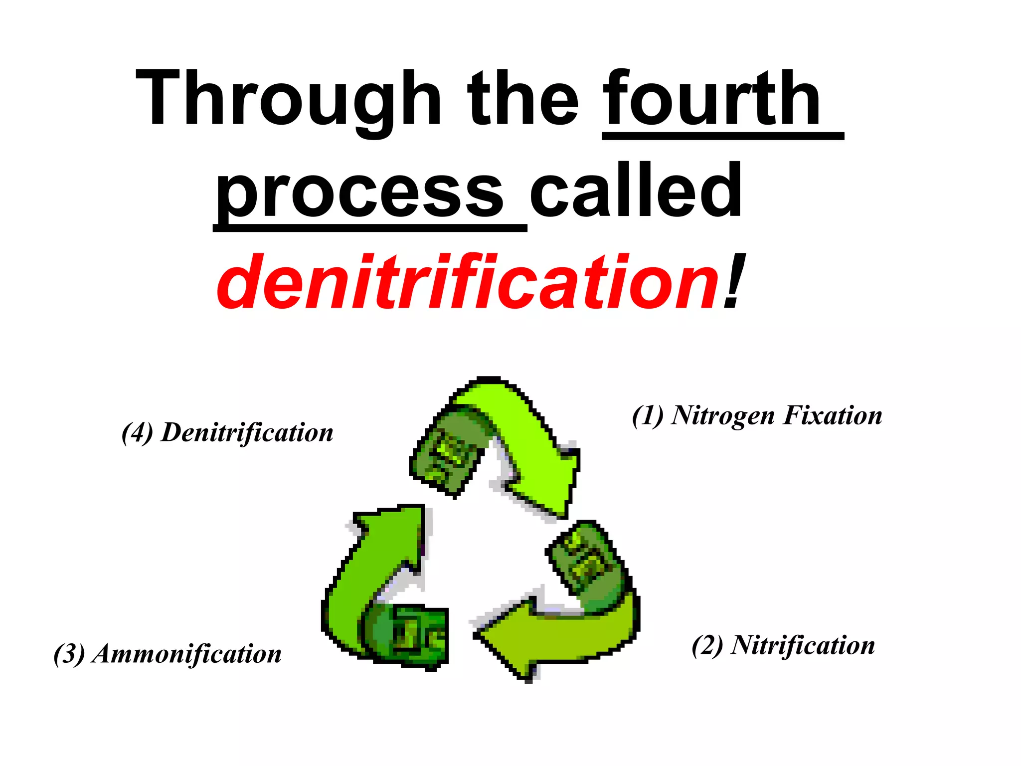 Lab.11 methods for estimating denitrification process | PDF
